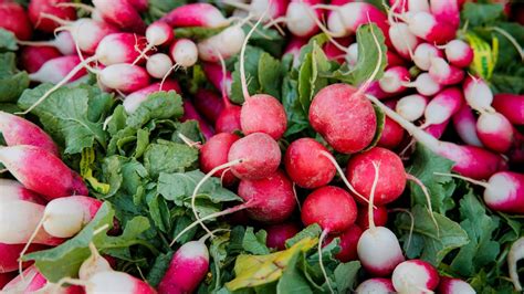 Лунный календарь садовода и огородника на 25 августа 2024 благоприятный ли день для посадок и