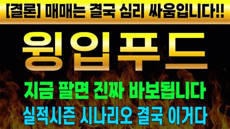주식 윙입푸드 지금 팔면 진짜 바보됩니다 실적시즌 시나리오 결국 이거다 Youtube