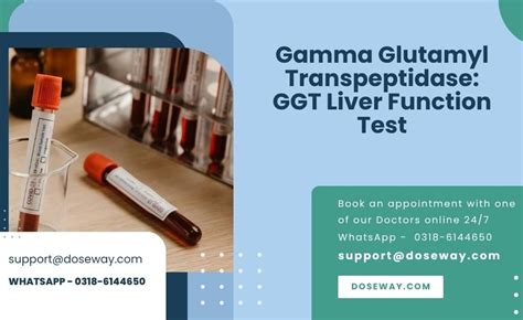Gamma Glutamyl Transpeptidase Ggt Liver Function Test