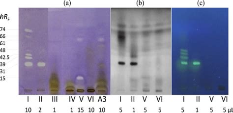 Tlc Chromatograms Of Bioactive Compounds Of The Concentrated Crude C Download Scientific