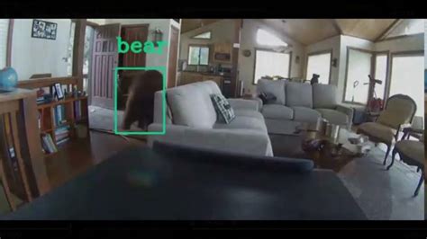 Camect On Linkedin Bear Detection Camect Smart Camera Hub