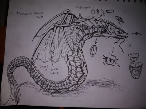 Dragon Reference Sheet By Foxlover198 On Deviantart