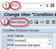Condition Exclusion Group In SAP Using Tcode OV