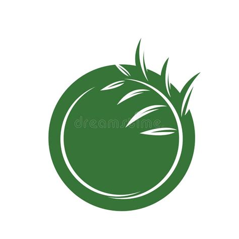 Eucalyptus Leaf Vector Element Design Template Stock Vector