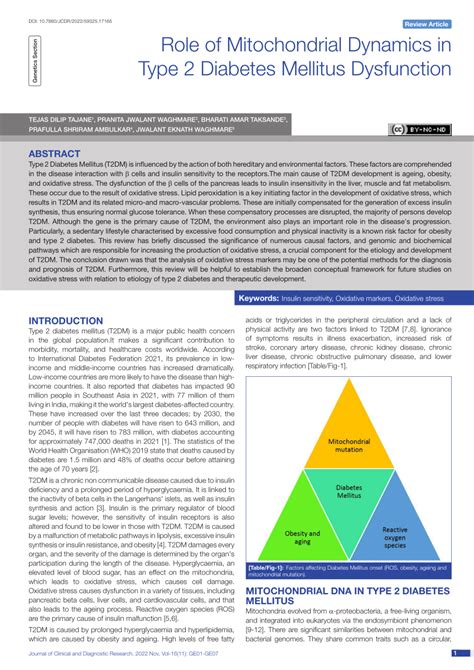 Pdf Role Of Mitochondrial Dynamics In Type 2 Diabetes Mellitus