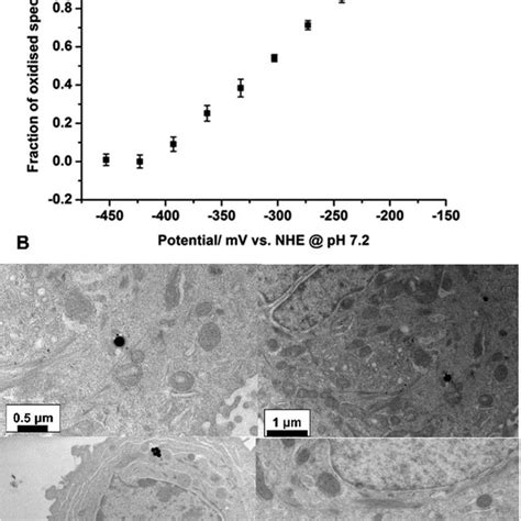 A Calibration Curve And The Potential Range Covered By AQ NS Error Download Scientific