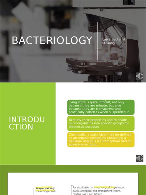 Bacteriology Lab 2 Pdf