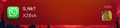 Iphone Weird Whatsapp Notification Riphone