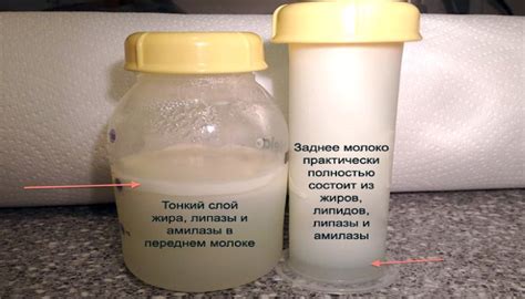 Жирность грудного молока: как определить в домашних условиях, как и где ...
