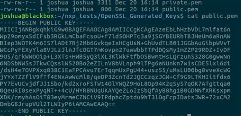 Public Key RSA Key Differences OpenSSL CLI Vs OpenSSL Ssl H C Function Cryptography Stack