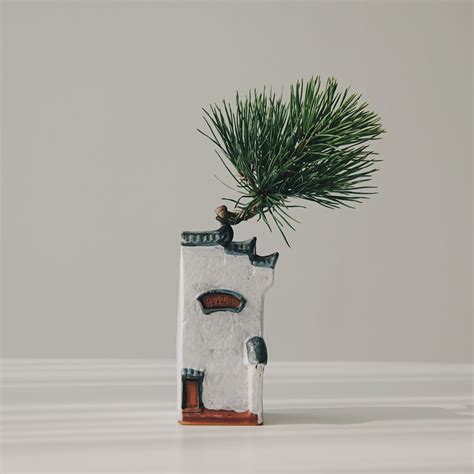 펫플랜트 해송소나무 하우스화분세트 위시버킷