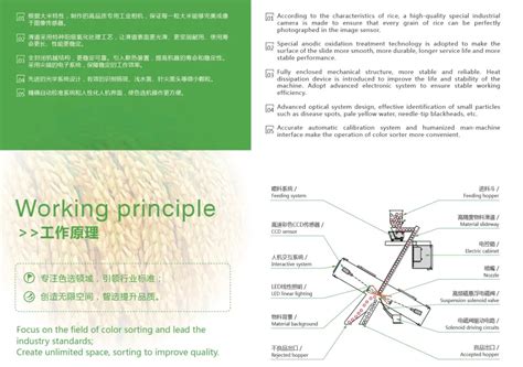 Stainless Steel Framework Salt Color Sorting Machine Mineral Color