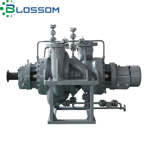 Api 610 Bb2 Pump Shandong Blossom Pump Industry Co Ltd