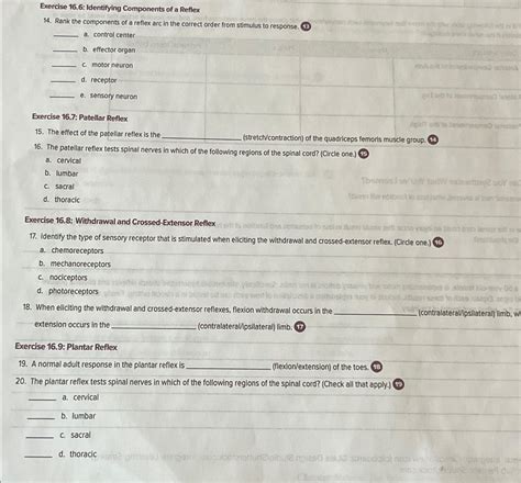 Solved Exercise Identifying Components Of A Reflex Chegg