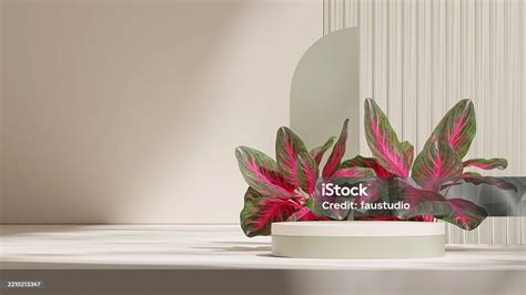 풍경 아치와 유리 벽에서 3d 이미지 렌더링 빈 모형 흰색 곡선 실린더 연단 0명에 대한 스톡 사진 및 기타 이미지 0명 3차원 형태 강단 Istock