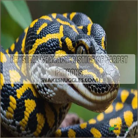 Carpet Python Facts Amazing Features You Didn T Know