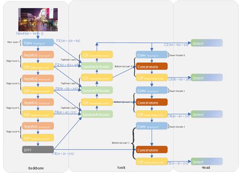 Proposed Network Model Large With Its Backbone Neck And Head Download Scientific Diagram