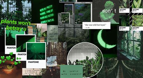 Best Green Wallpaper For Laptop