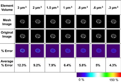 Element Size Error Analysis Representative Sagittal Plane Images With