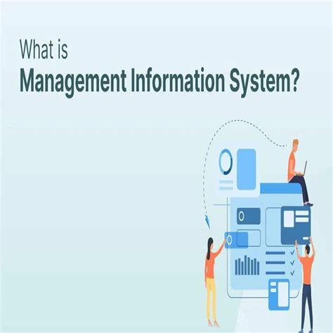 Management Information System Mis Software At Best Price In Hyderabad