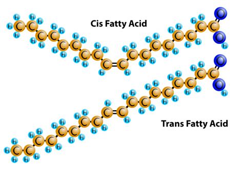 Understanding Fats Article