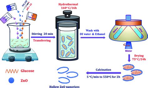 Processes For The Hydrothermal Synthesis Of Hollow Zno Nanorices
