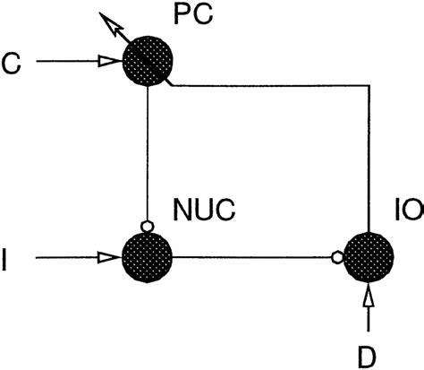 Simpli®ed Schematic Of The Cerebello Olivary Loop Nuclear Cells Nuc Download Scientific