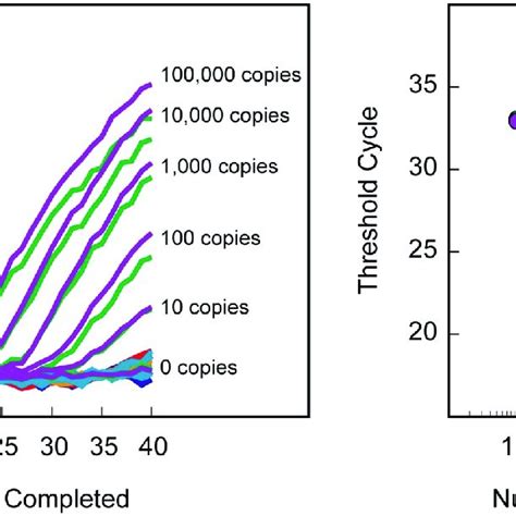 Sensitivity Confirmation Real Time Pcr Screening Assays Containing All Download Scientific