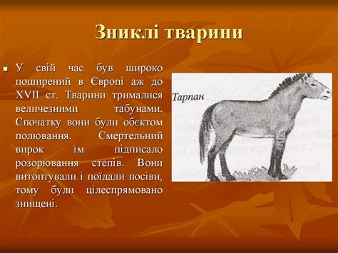 Тварини Червоної Книги України презентация онлайн