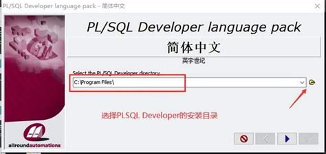 PLSQL Developer 软件安装包下载及安装教程 哔哩哔哩