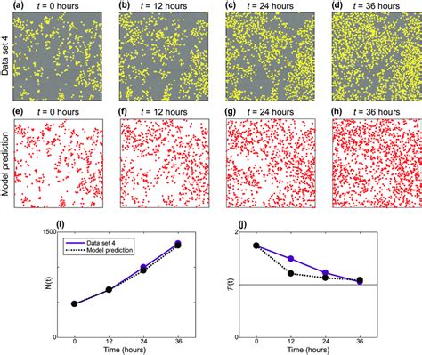 A D Experimental Images For Data Set 4 The Position Of Each Cell Download Scientific