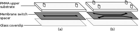 Construction Of A Single And B Dual Channel Devices Download Scientific Diagram