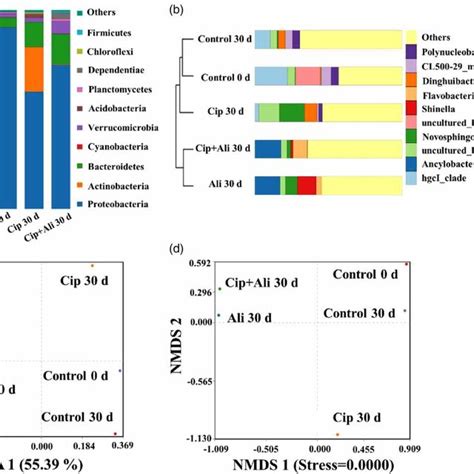 Composition And Relative Abundance Of Microbial Populations In The Download Scientific