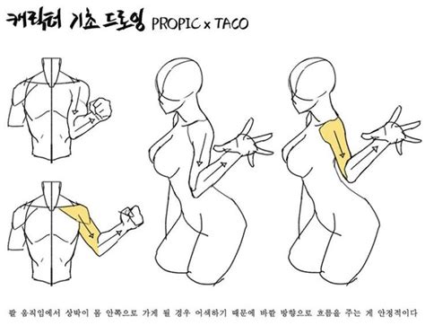 When Illustrating The Movement In The Arms Pushing The Upper Arm Inwards Towards The T