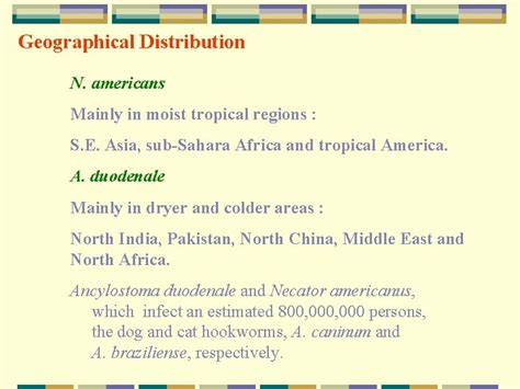 Hookworms Ancylostoma Spp And Necator Spp Human Hookworm