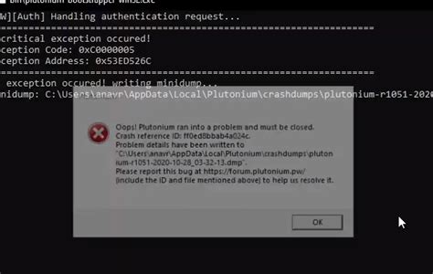 Game Crashes While Launching Plutonium