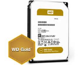 Western Digital GOLD 1TB FRYZ - ราคาฮาร์ดดิสก์