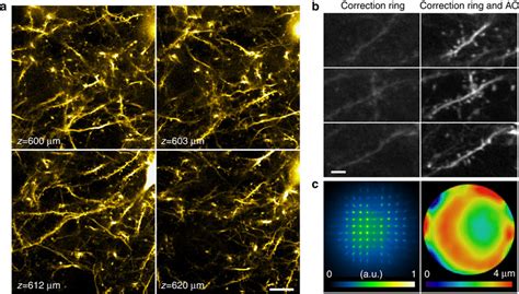 Ao Correction Via Direct Wavefront Sensing Improves Morphological Download Scientific Diagram
