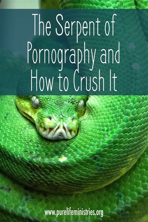 The Serpent Of Pornography And How To Crush It Artofit