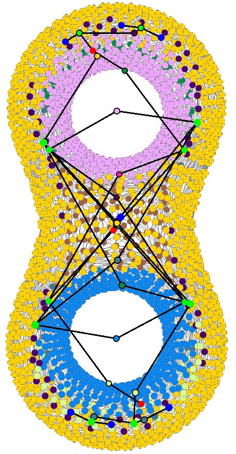 12 srg and segmentation for the double torus with f growing normal to