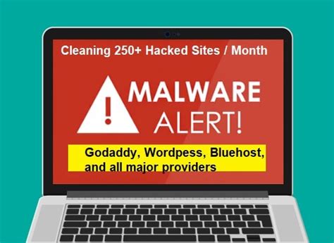 Malware Removal Service Godaddy And Any Major Hosting Provider