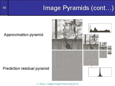 digital image processing wavelets and multiresolution processing background