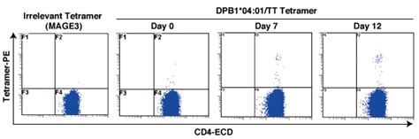 Class Ii Mhc Tetramers Available From Mbl International Caltag Medsystems