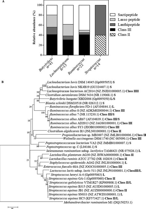 Distribution Of Bacteriocin Gene Clusters In The Genomes Of Ruminal Download Scientific Diagram