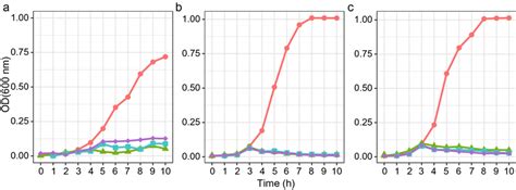 The Effect Of Bacteriocin Produced Bacteriocin Produced By Pediococcus