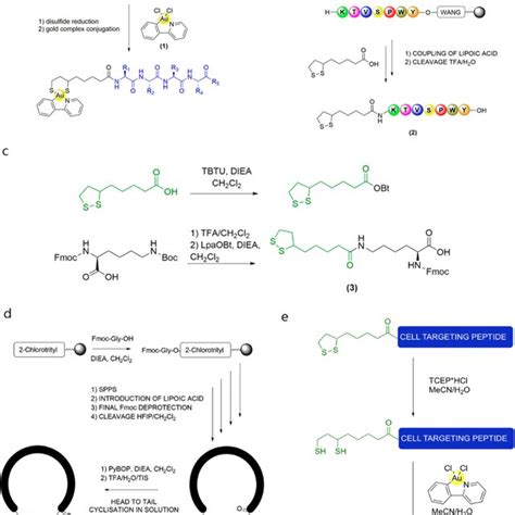 A The Strategy Of Auiii Peptide Bioconjugates Synthesis B Synthesis Download Scientific