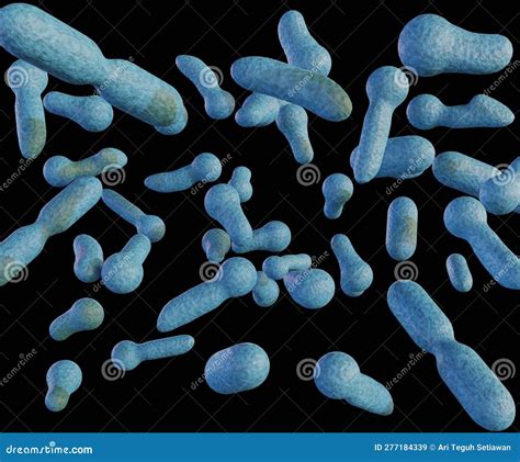 Scattered Clostridium Botulinum Under Microscope Royalty Free Stock