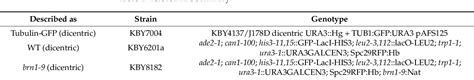 Table 1 From Polymer Modeling Reveals Interplay Between Physical