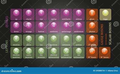 Standard Model Of Elementary Particles Stock Vector Illustration Of Lepton Background 245880761
