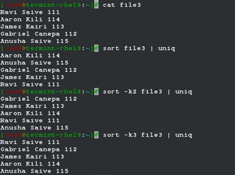 Rhcsa Series Mastering Commands And Documentation Part 2